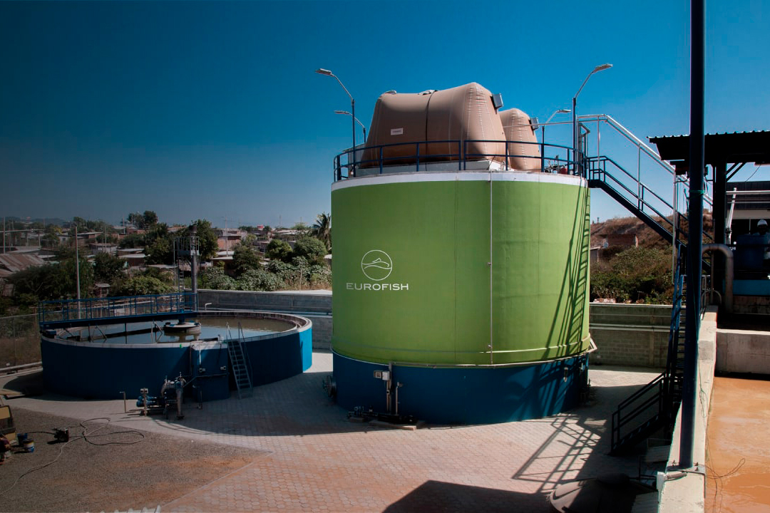 Nuestra Planta – Eurofish